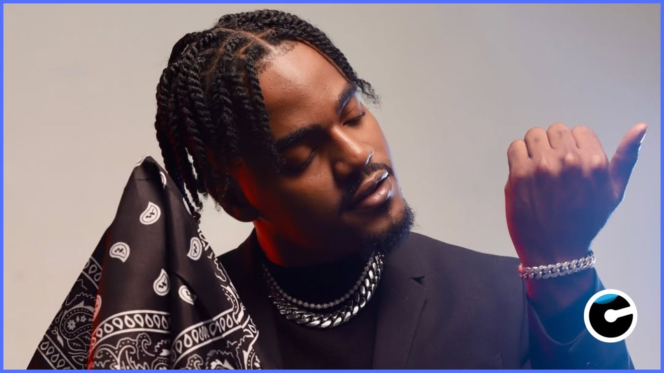 FIP Prezidan dévoile sa nouvelle mixtape 246 Vol. 1 - Chokarella